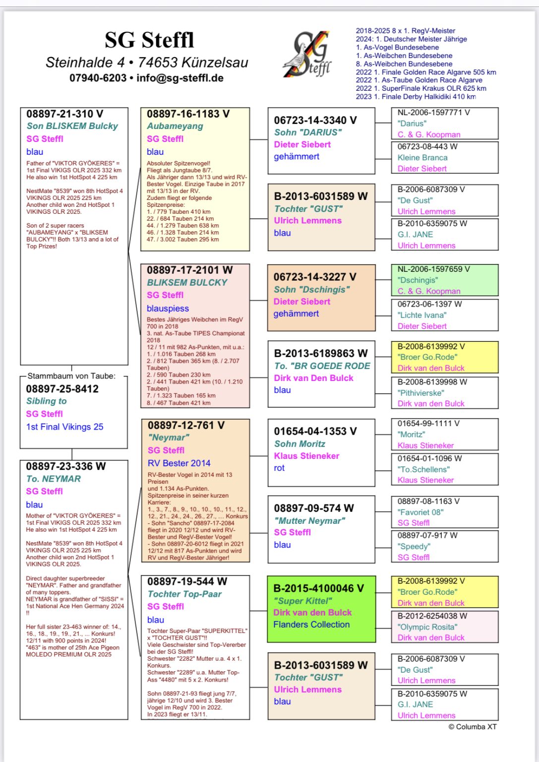 3.3 DV-8897-25-8412 ♀︎ SG Steffl – Viking Pigeons OLR